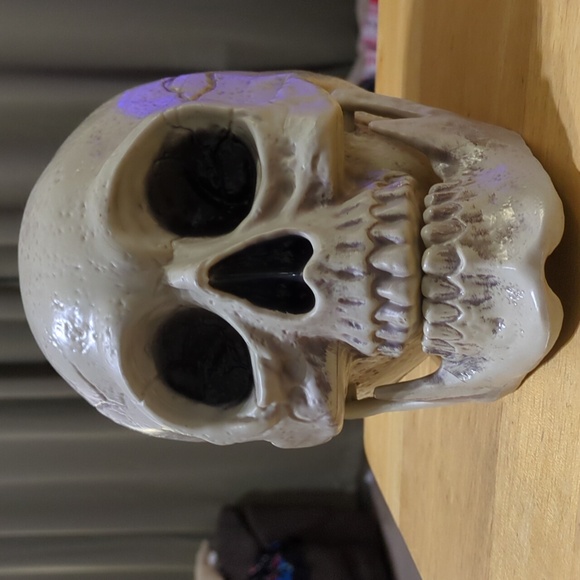 Holiday | Life Sized Skull Decor With Movable Jaw | Poshmark